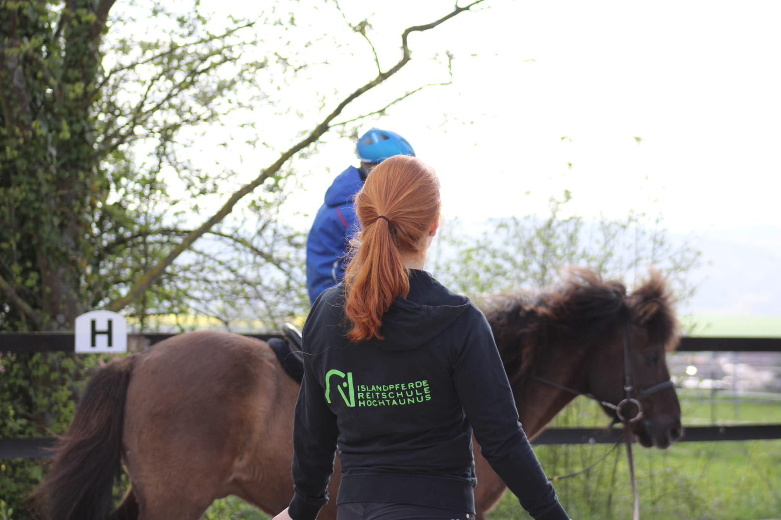 Islandpferde-Reitschule-Hochtaunus - Reitschule für